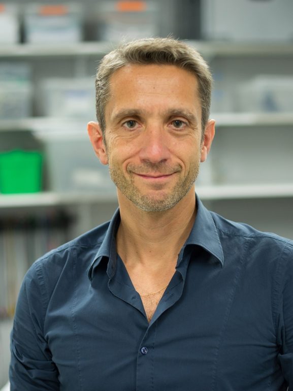 François Georges - Bordeaux Neurocampus