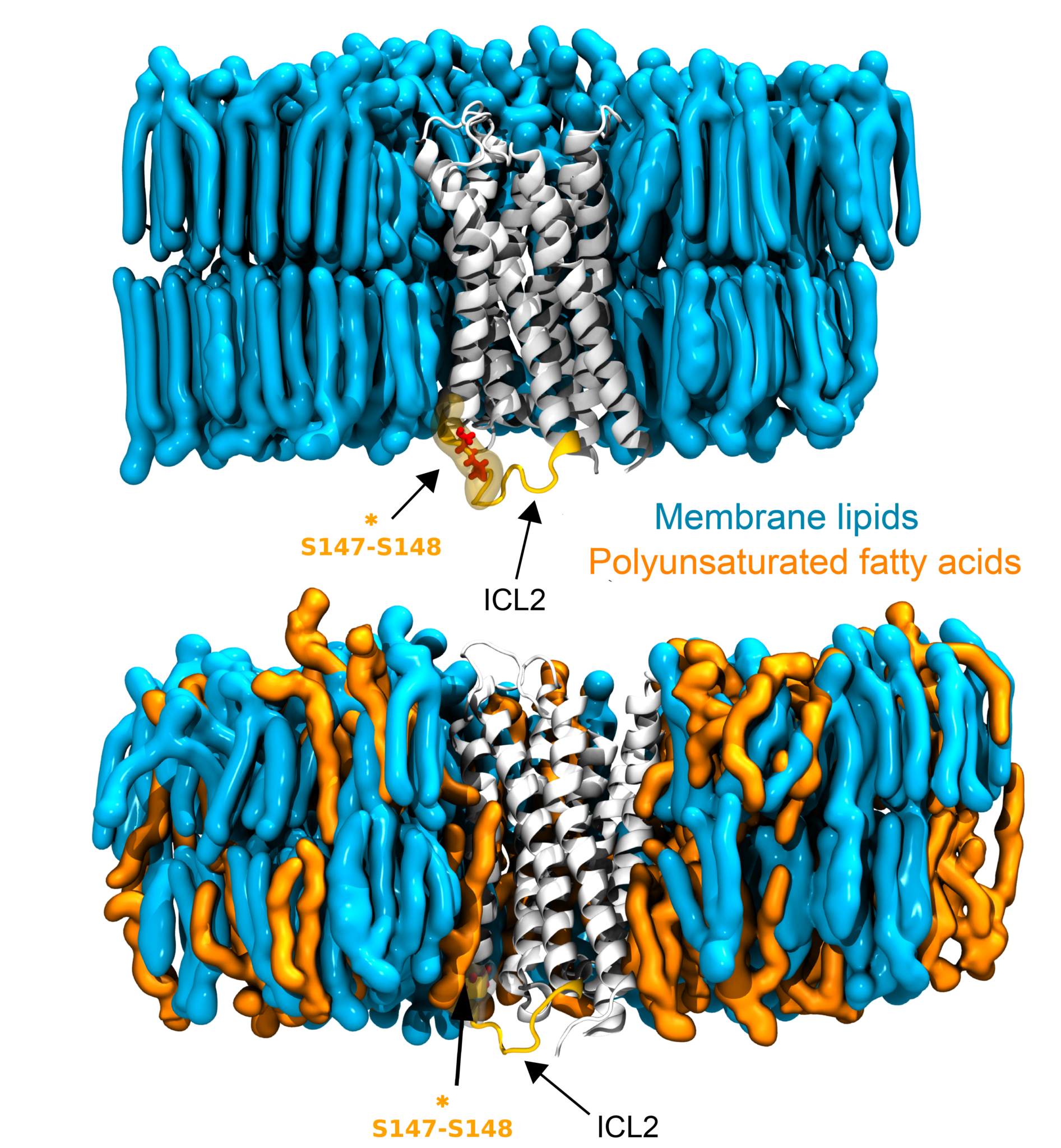 Marie-Lise Jobin, Pierre Trifilieff et al in Mol Psychiatry - Bordeaux ...