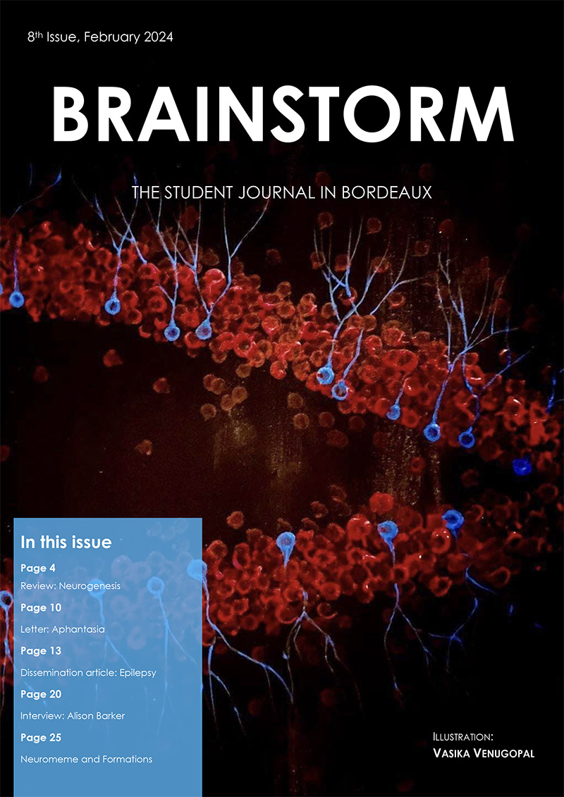 Brainstorm - 8th issue - Bordeaux Neurocampus
