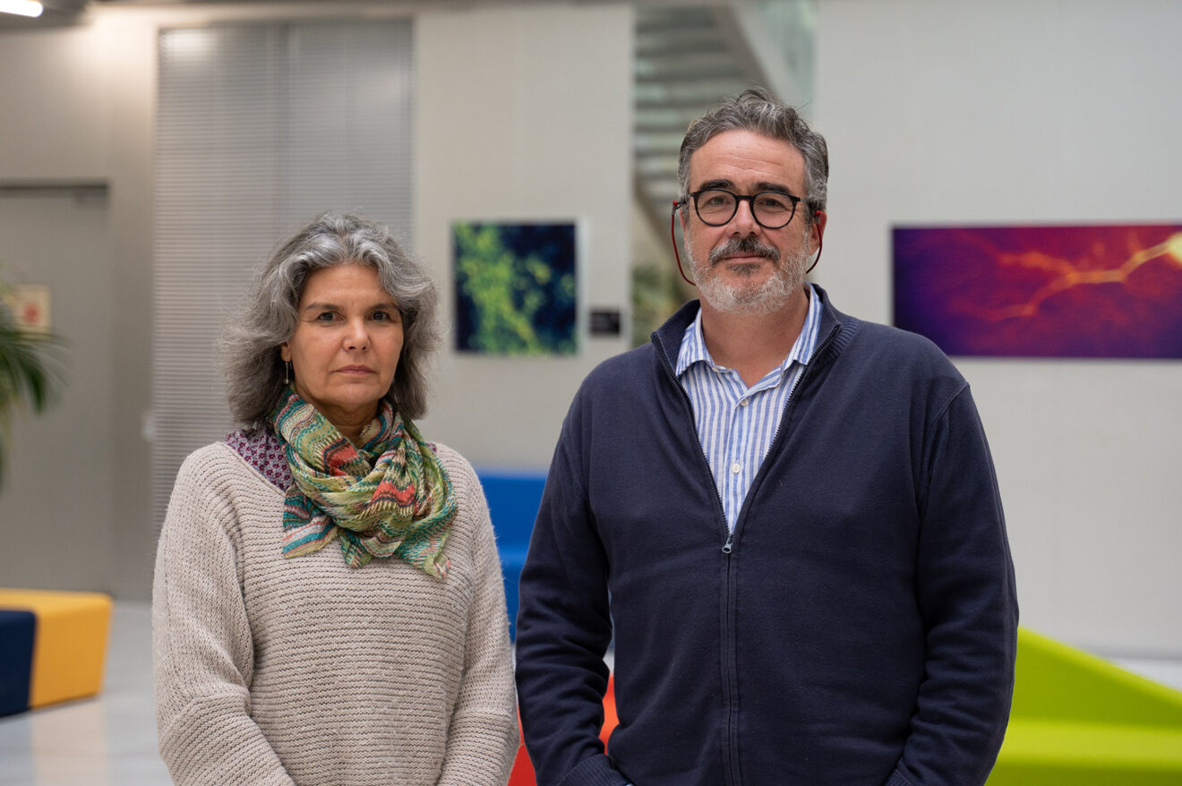 The SynTeam team co-directed by Francesca De Giorgi and François Ichas ...