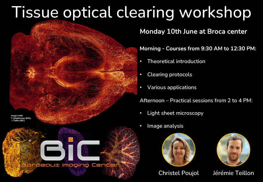 BIC workshop: Tissue Optical Clearing - Bordeaux Neurocampus