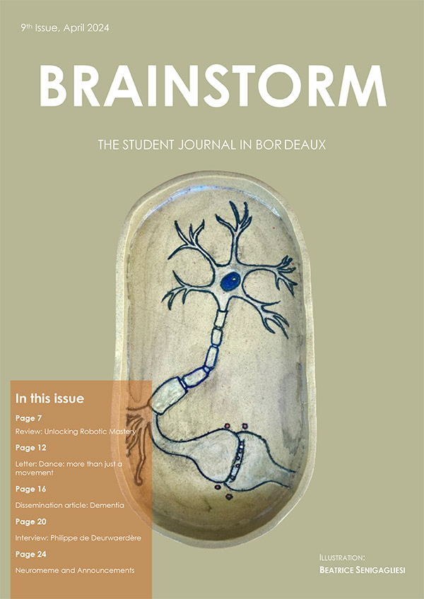 Brainstorm – 9th issue - Bordeaux Neurocampus